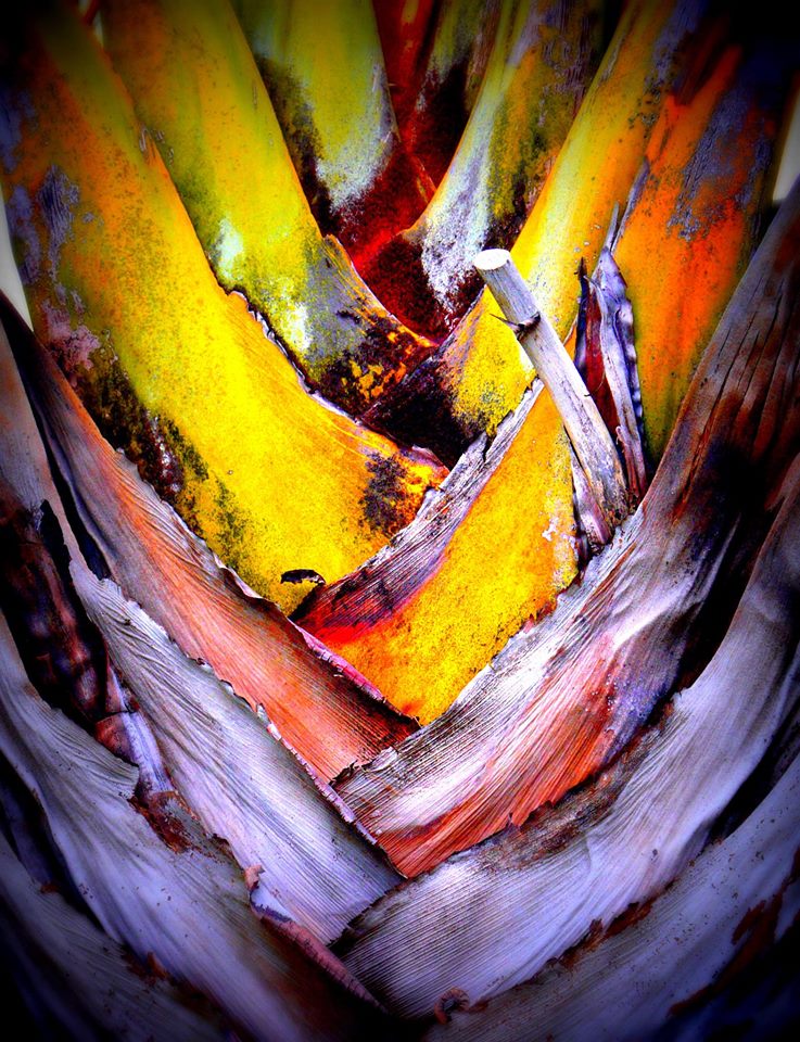 17 Inspiring Abstract Photos | Click Love Grow