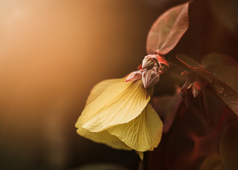 2025 Featured Artists Reel #22 - Our Fave Grad Photos | Click Love Grow