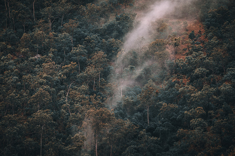 2025 Featured Artists Reel #24 - Our Fave Grad Photos | Click Love Grow