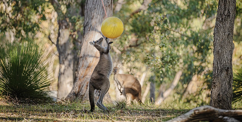 2025 Featured Artists Reel #35 - Our Fave Grad Photos | Click Love Grow