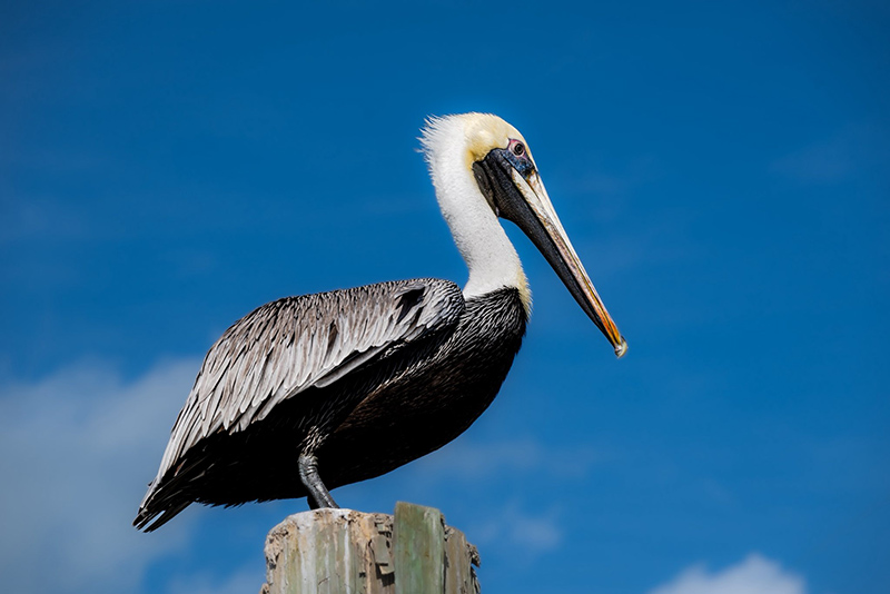 2026 Featured Artists Reel #1 - Our Fave Grad Photos | Click Love Grow